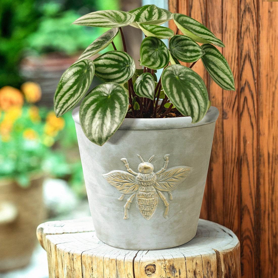 EMBOSSED BEE PLANTER | proper topper